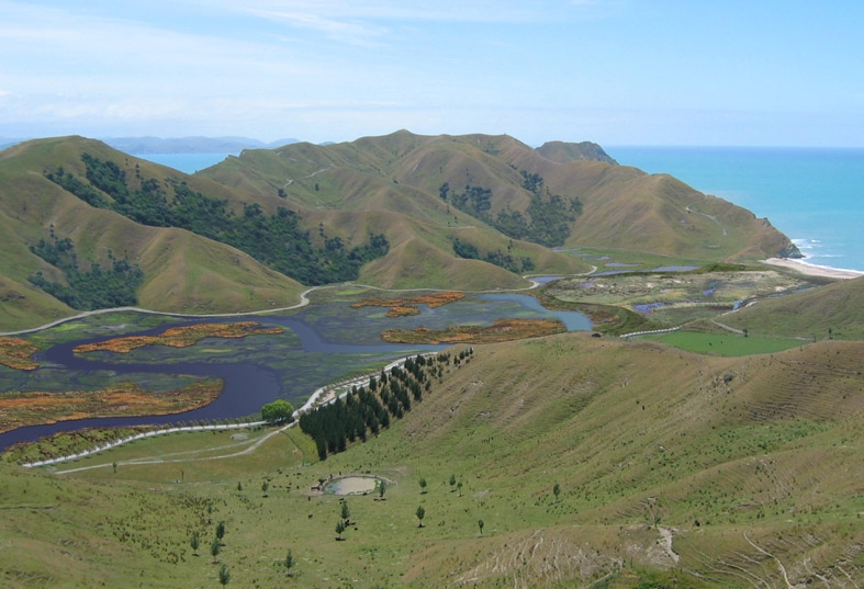 Orongo Station Conservation Master Plan by Nelson Byrd Woltz Landscape ...