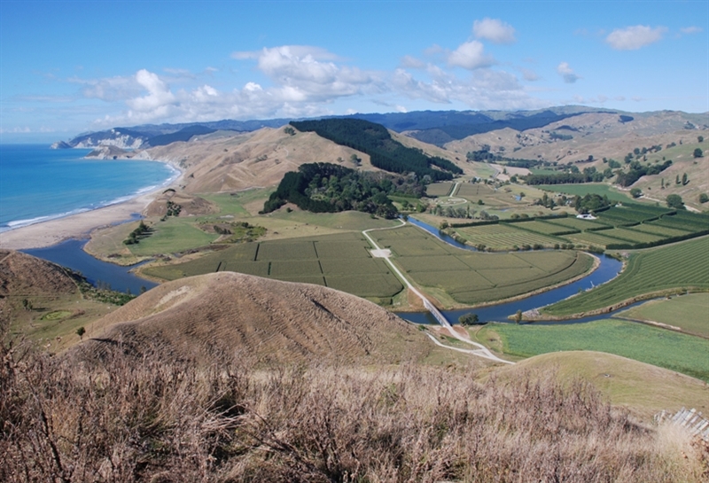 Orongo Station Conservation Master Plan by Nelson Byrd Woltz Landscape ...