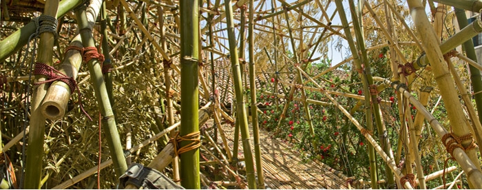 Big Bambu by Starn Studio - 谷德设计网