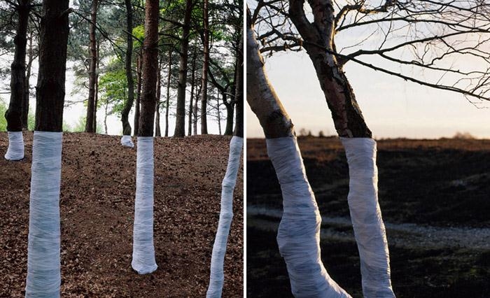 Tree & Line by Zander Olsen - 谷德设计网