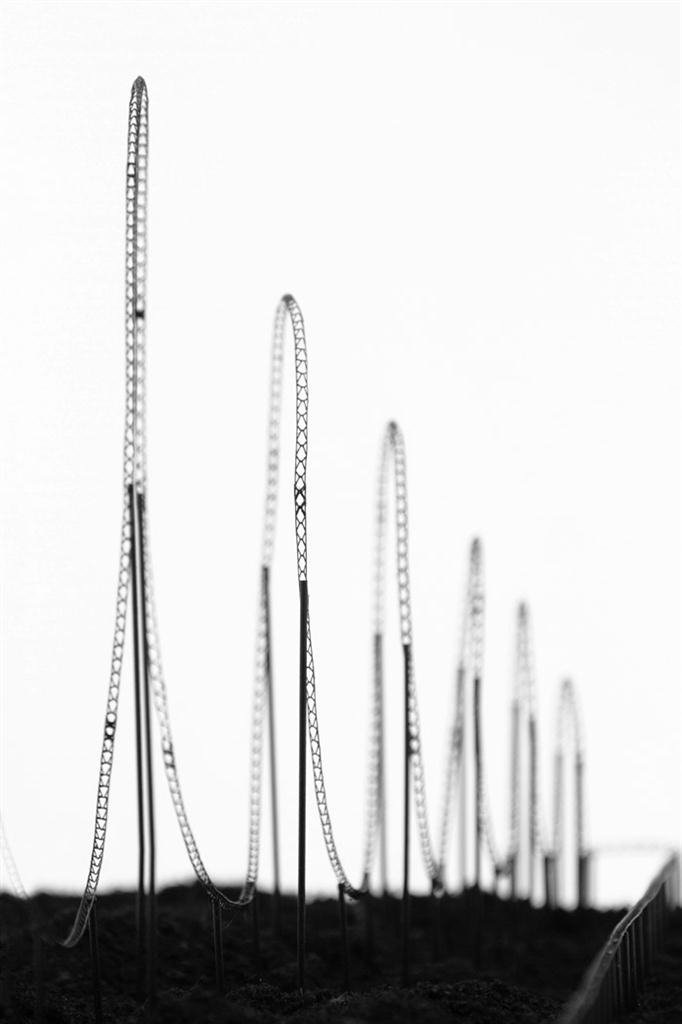 Euthanasia Coaster by Julijonas Urbonas - 谷德设计网