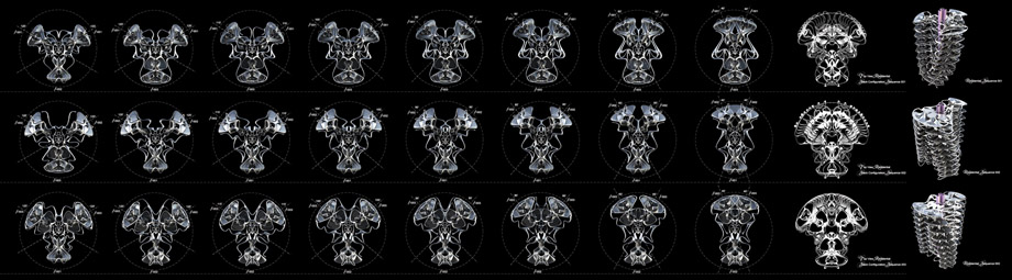 先锋设计专辑NO.4—Xuberance / Steven MA - 谷德设计网