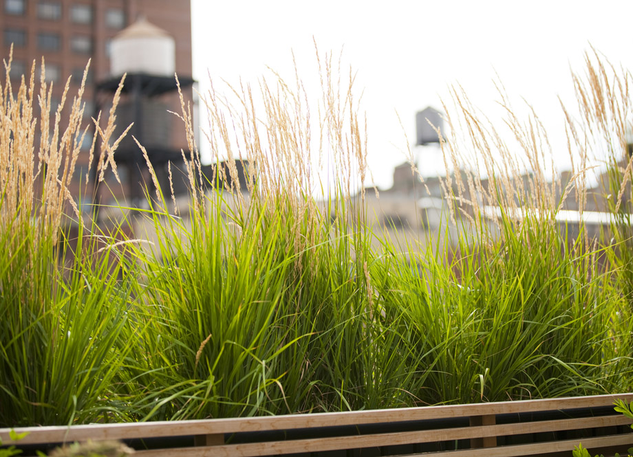 2011 ASLA Professional Awards {4} Residential Design Honor Award ...