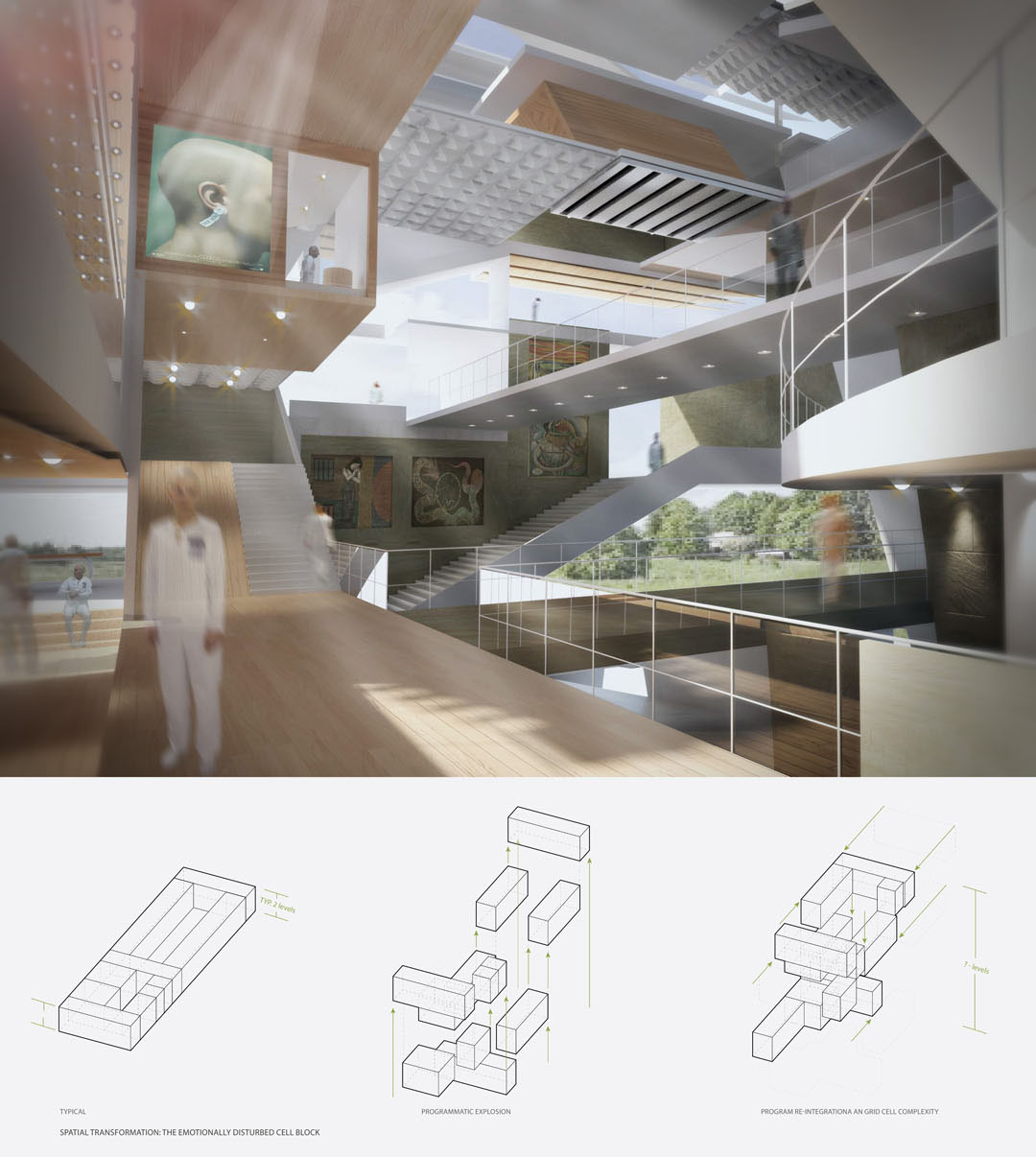 2013GSD春季毕设之一 / Brandon CuffyMutable Minds: Neural Proxies for the ...