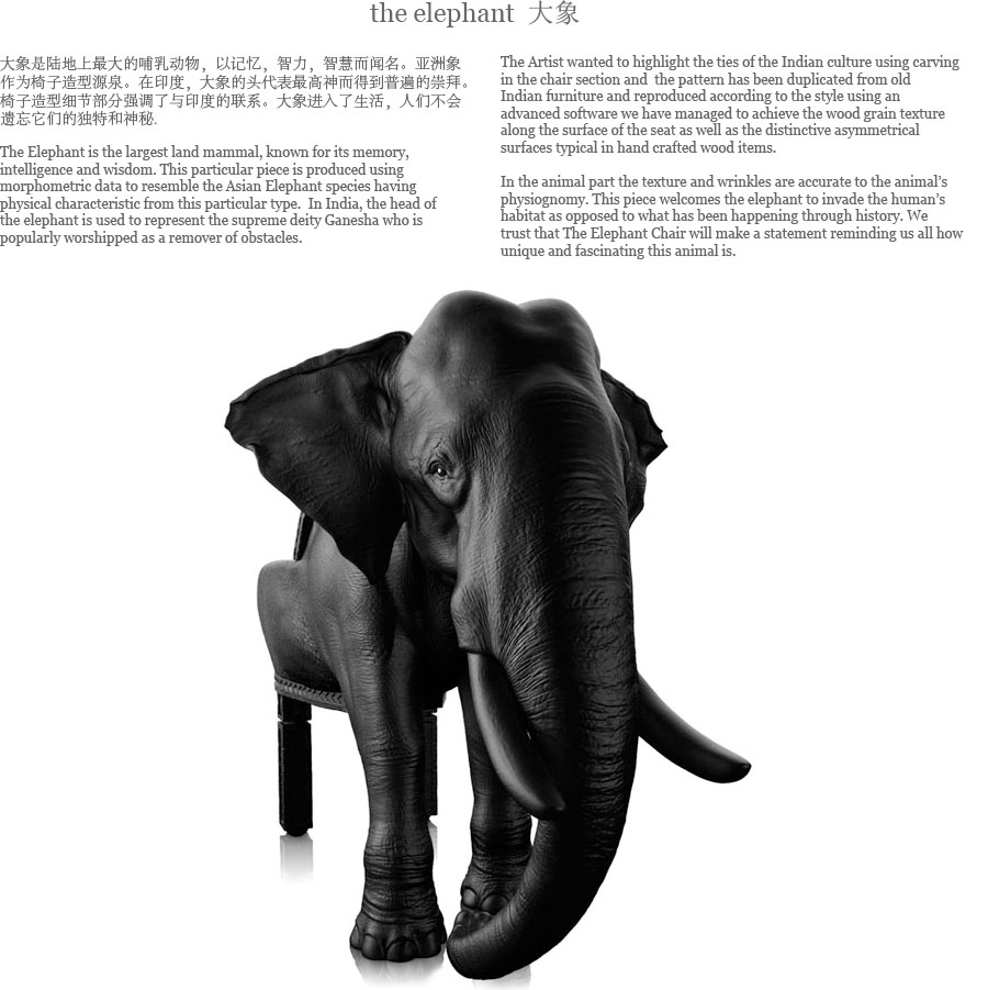 The Animal Chair Collection / Maximo Riera - 谷德设计网