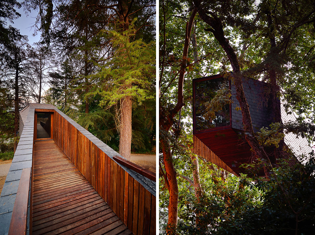 Tree Snake Houses by Luís Rebelo de Andrade & Tiago Rebelo de Andrade ...