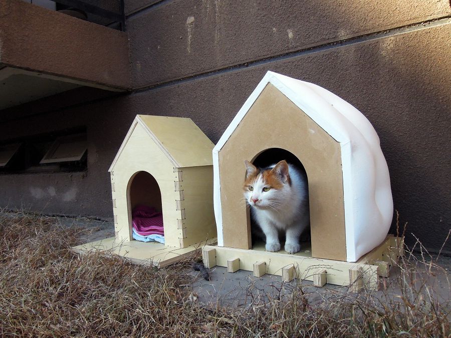 Woof & Meow House / dot Architects - 谷德设计网