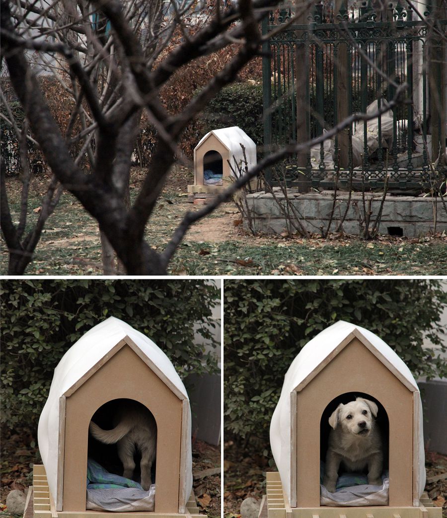 Woof & Meow House / dot Architects - 谷德设计网
