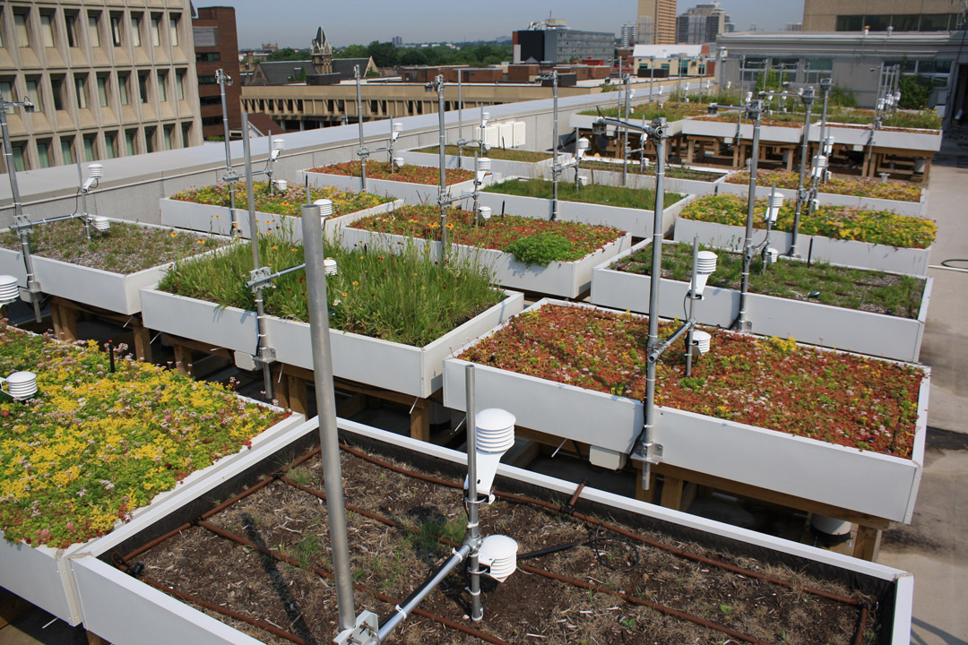 2017 ASLA RESEARCH AWARD OF HONOR: Green Roof Innovation Testing (GRIT ...