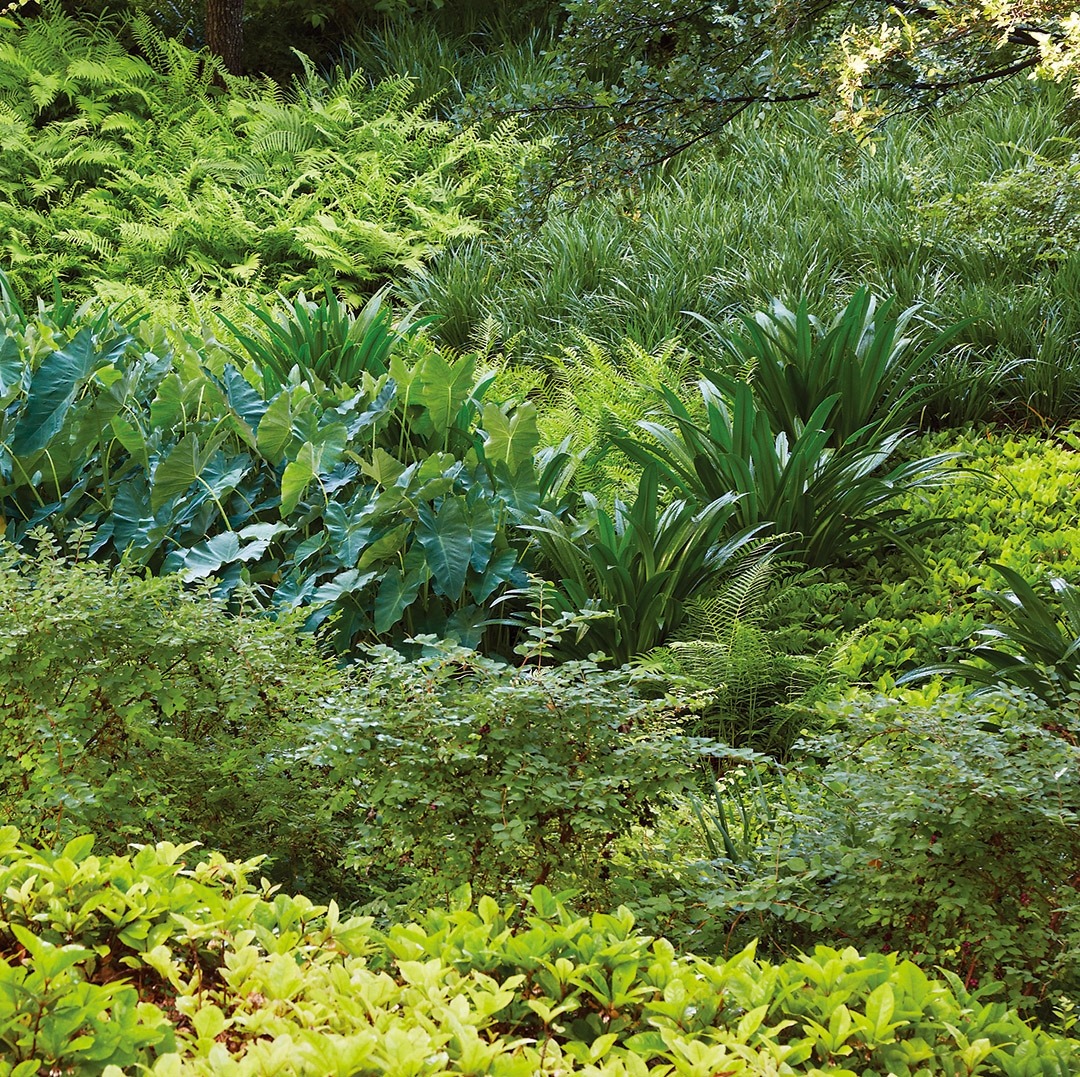 2013 ASLA Residential Landscape Design Class Honor Award:A Landscape ...