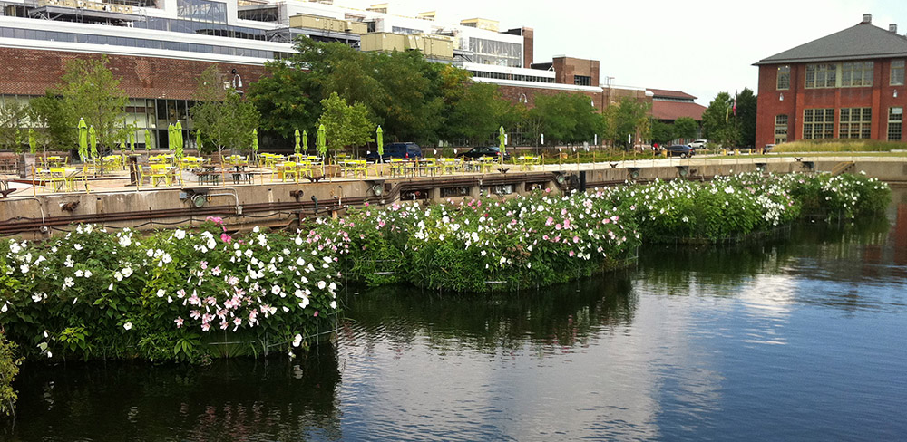 2014 ASLA Universal Design Honor Award:Urban Outfitters Headquarters ...