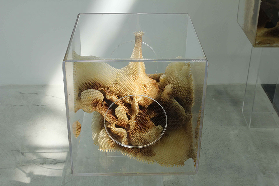 YUANSU PROJECTS / REN RI - 谷德设计网