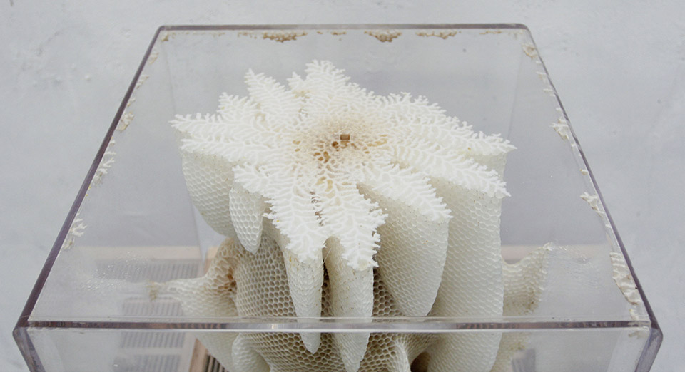 YUANSU PROJECTS / REN RI - 谷德设计网