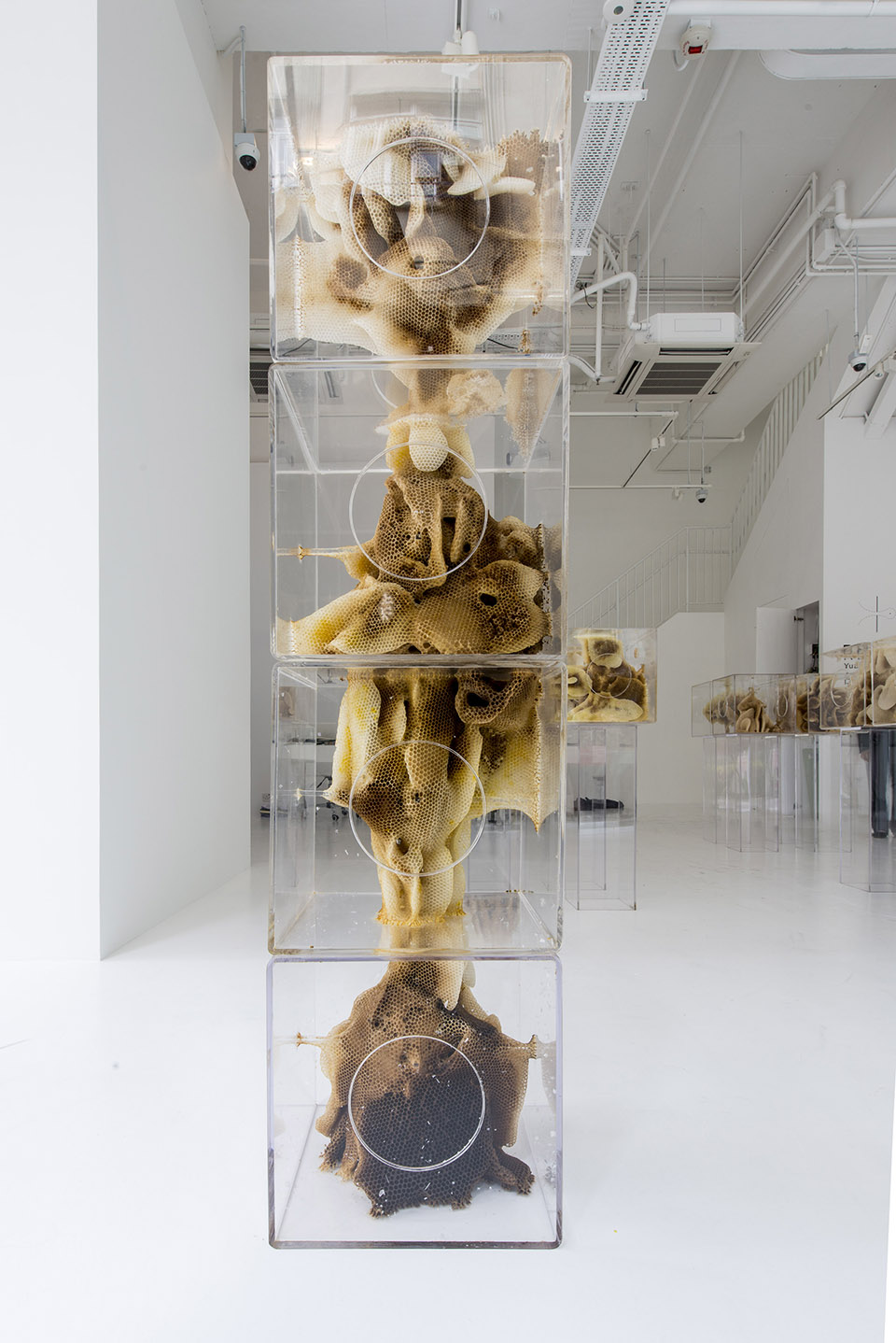 YUANSU PROJECTS / REN RI - 谷德设计网