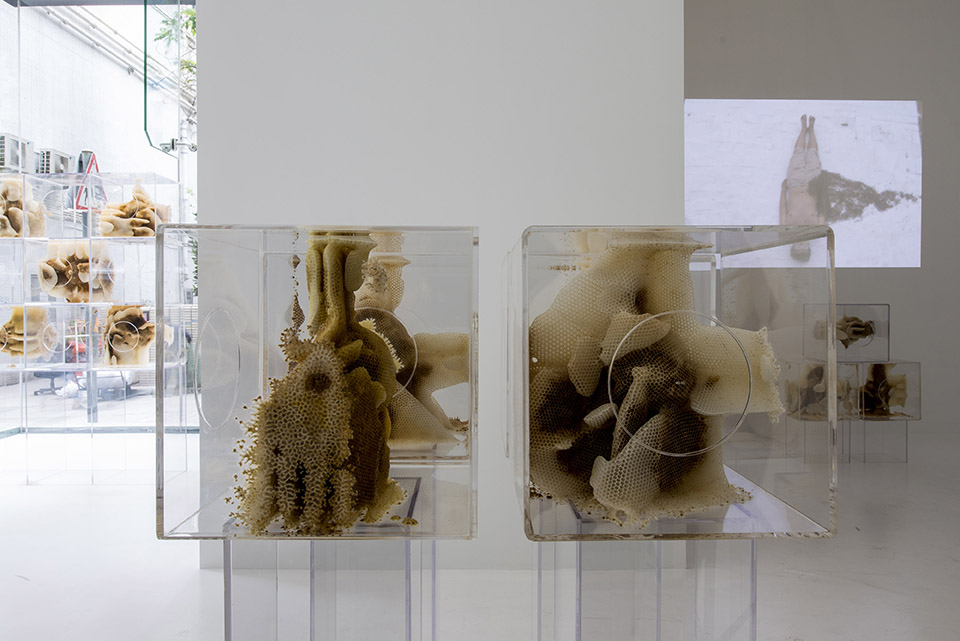 YUANSU PROJECTS / REN RI - 谷德设计网