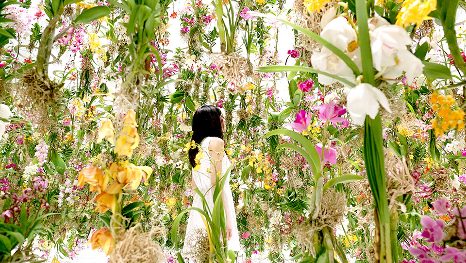 Floating Flower Garden / teamLab - 谷德设计网