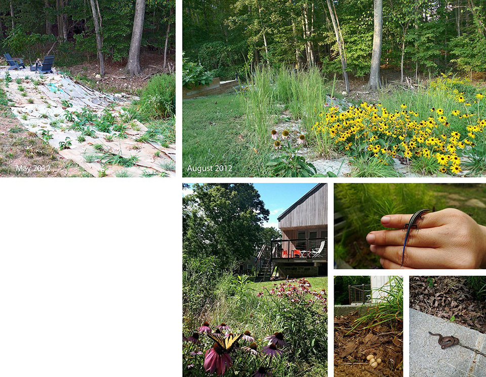 2014ASLA :A New Norris House and Landscape - 谷德设计网
