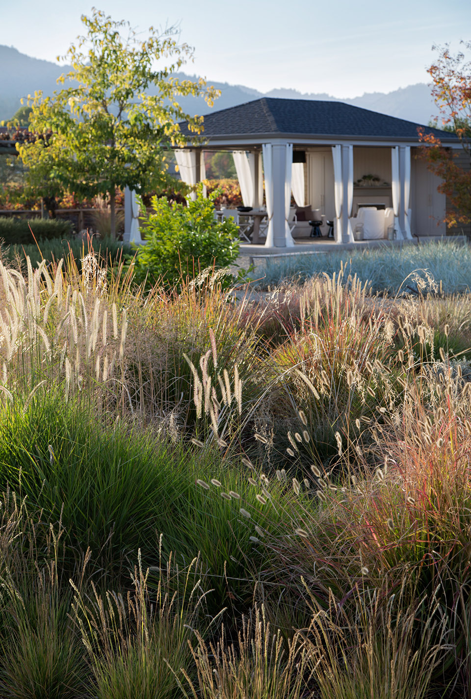 2014 ASLA : Vineyard Retreat BY Scott Lewis Landscape Architecture - 谷德设计网