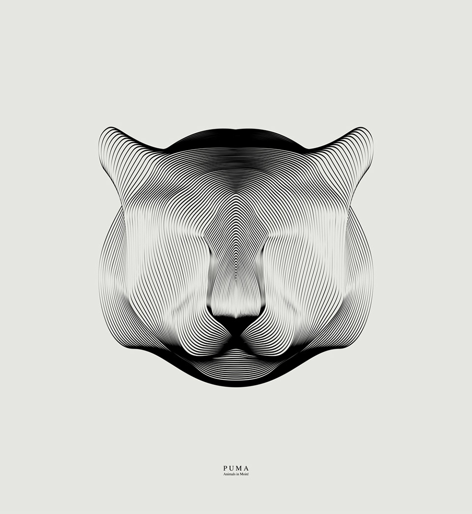 Animals in Moiré by Andrea Minini - 谷德设计网