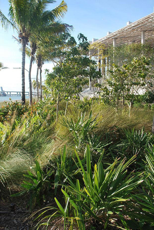 2015 ASLA GENERAL DESIGN AWARD OF HONOR: Perez Art Museum Miami ...