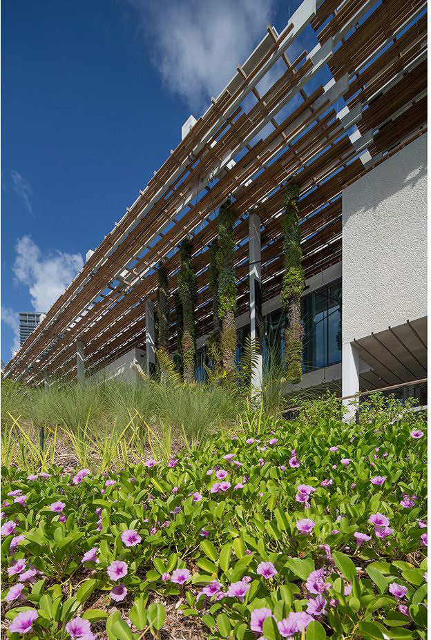 2015 ASLA GENERAL DESIGN AWARD OF HONOR: Perez Art Museum Miami ...