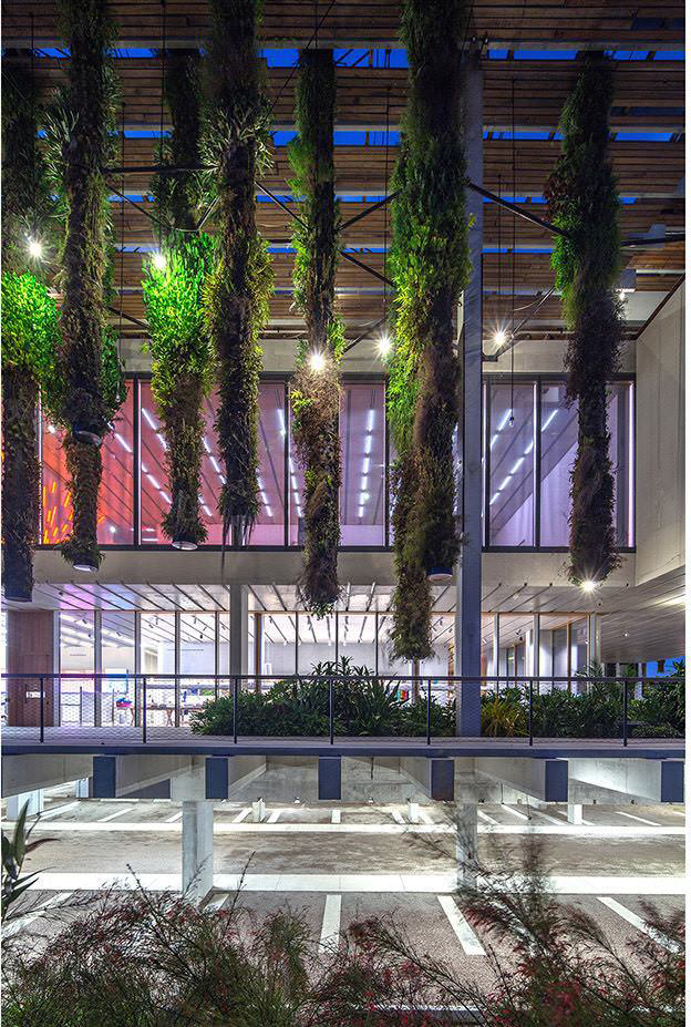 2015 ASLA GENERAL DESIGN AWARD OF HONOR: Perez Art Museum Miami ...