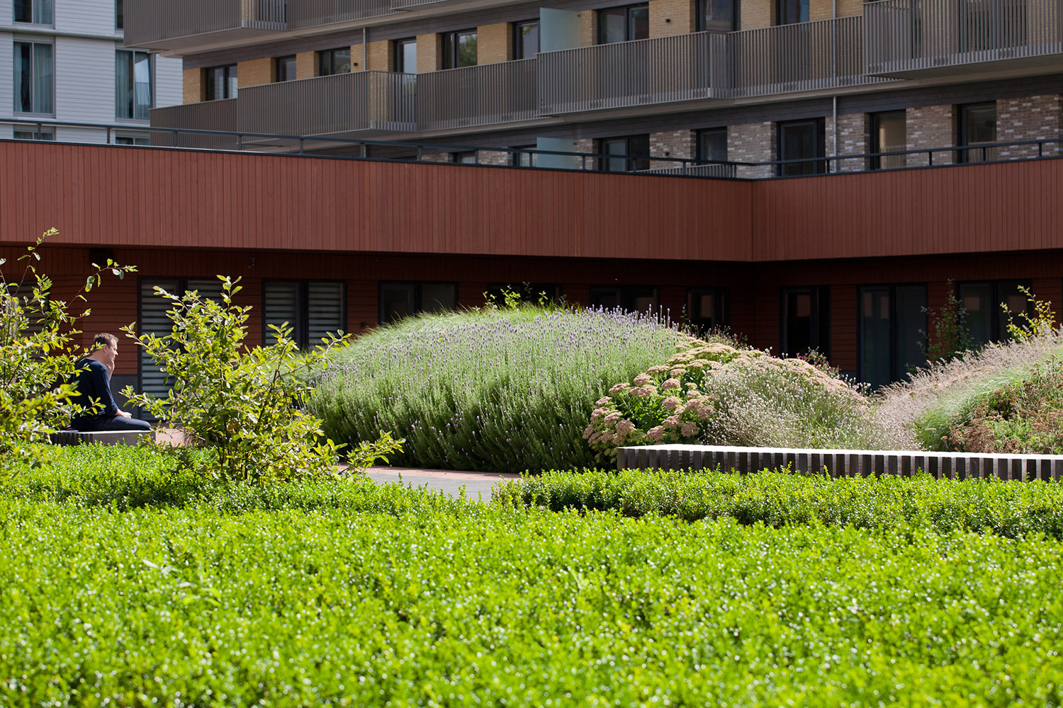 Amstelveen Zonnehuis Care Home Landscape by HOSPER - 谷德设计网