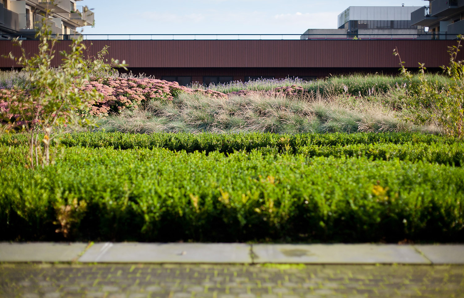 Amstelveen Zonnehuis Care Home Landscape by HOSPER - 谷德设计网