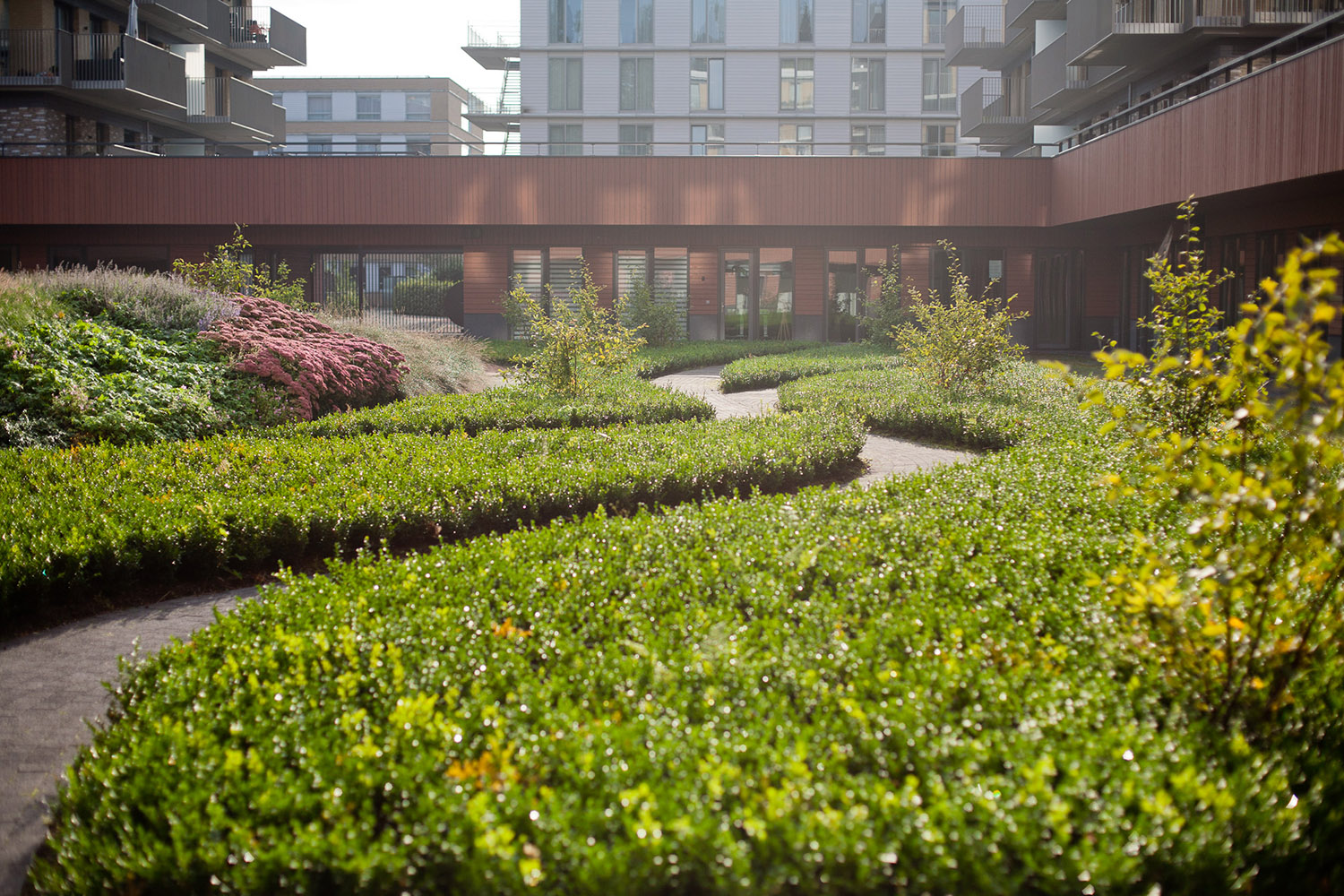 Amstelveen Zonnehuis Care Home Landscape by HOSPER - 谷德设计网