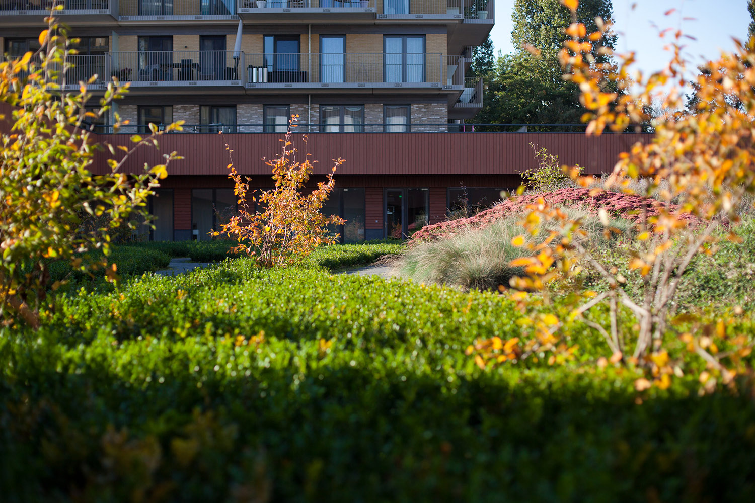 Amstelveen Zonnehuis Care Home Landscape by HOSPER - 谷德设计网