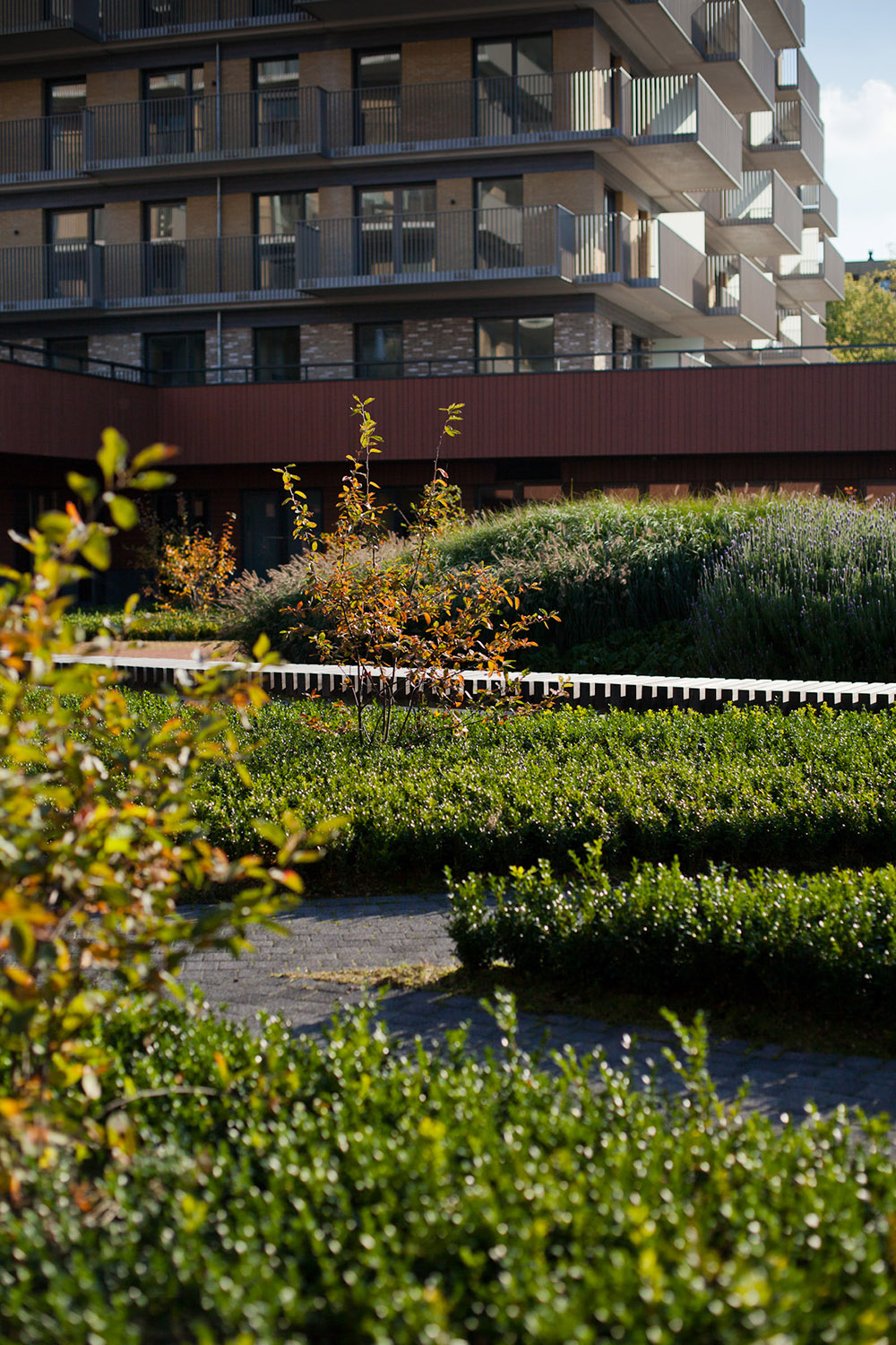 Amstelveen Zonnehuis Care Home Landscape by HOSPER - 谷德设计网