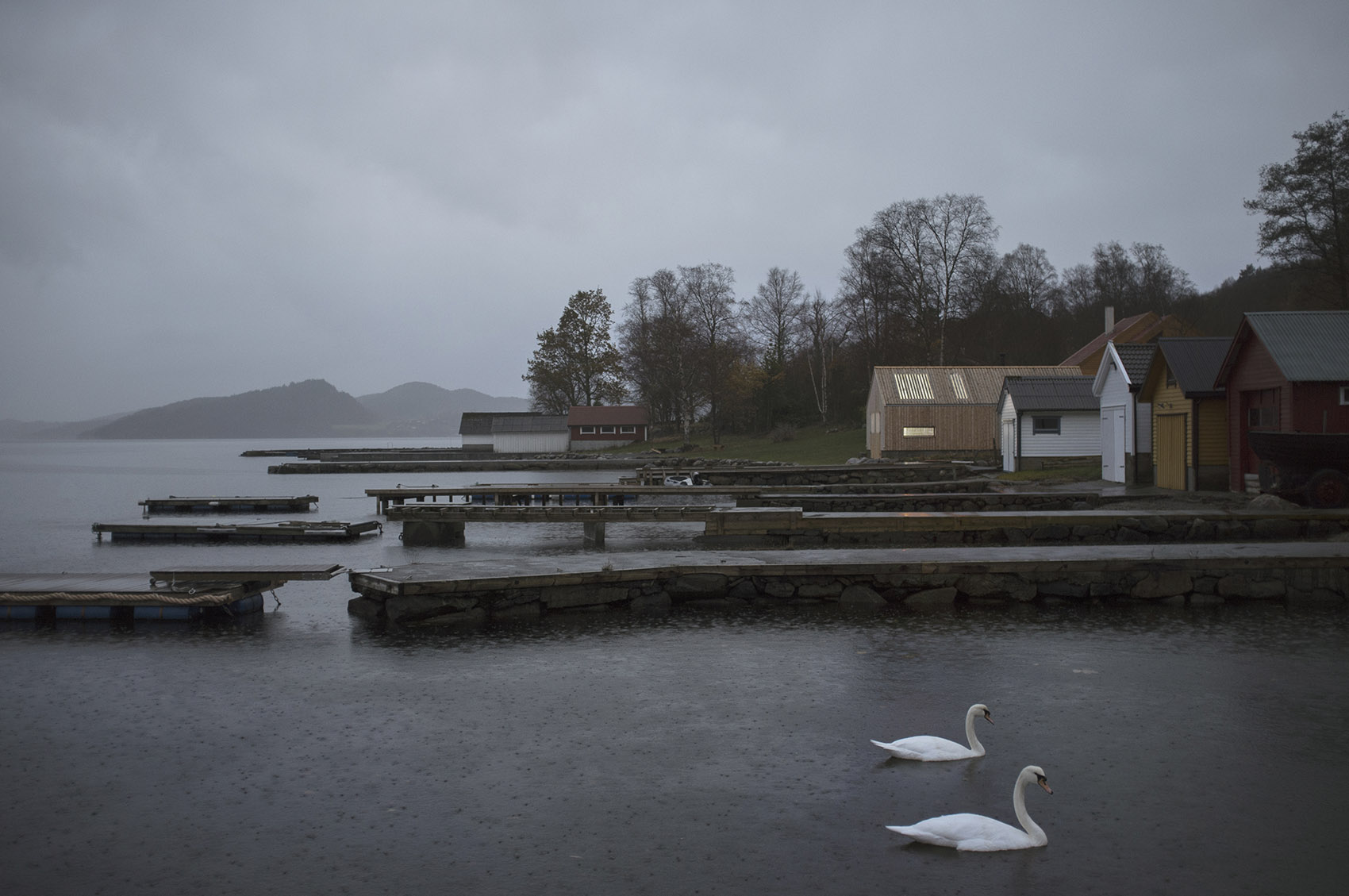 NAUST V by Kolab Architects and Koreo Architects - 谷德设计网