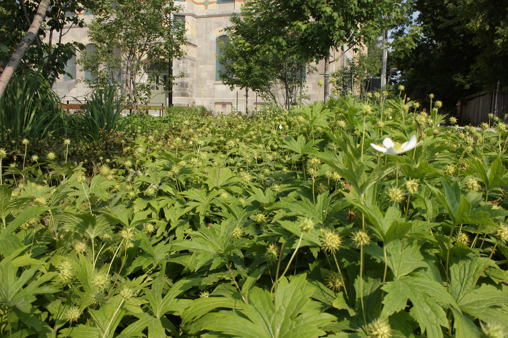 Joseph Venne Park by NIPPaysage - 谷德设计网