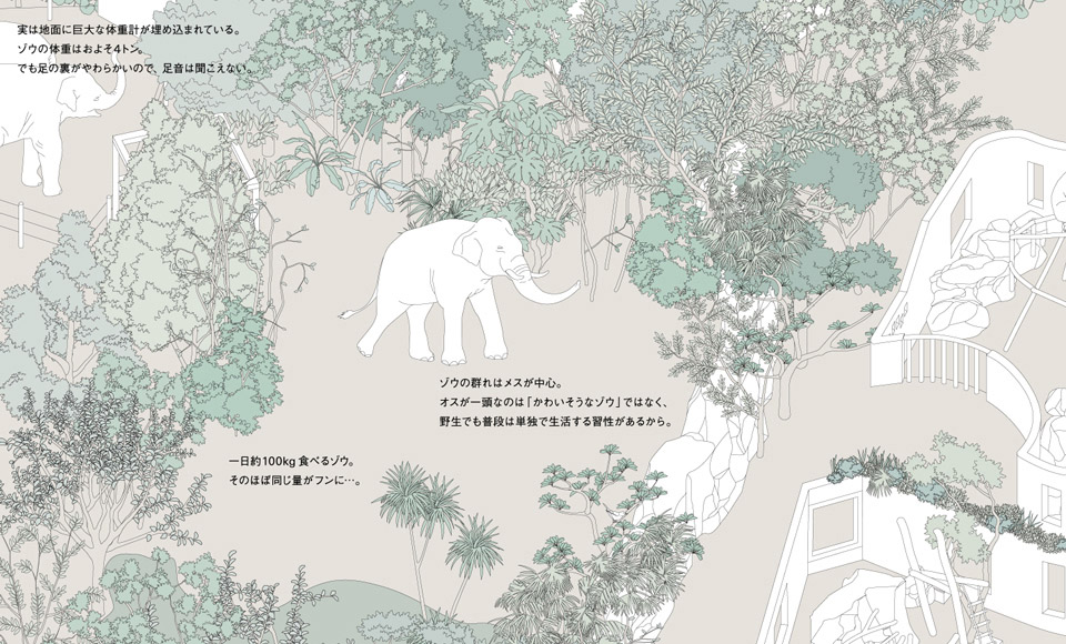 UENO ZOO MAP by Haruka Misawa - 谷德设计网