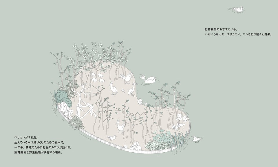 UENO ZOO MAP by Haruka Misawa - 谷德设计网