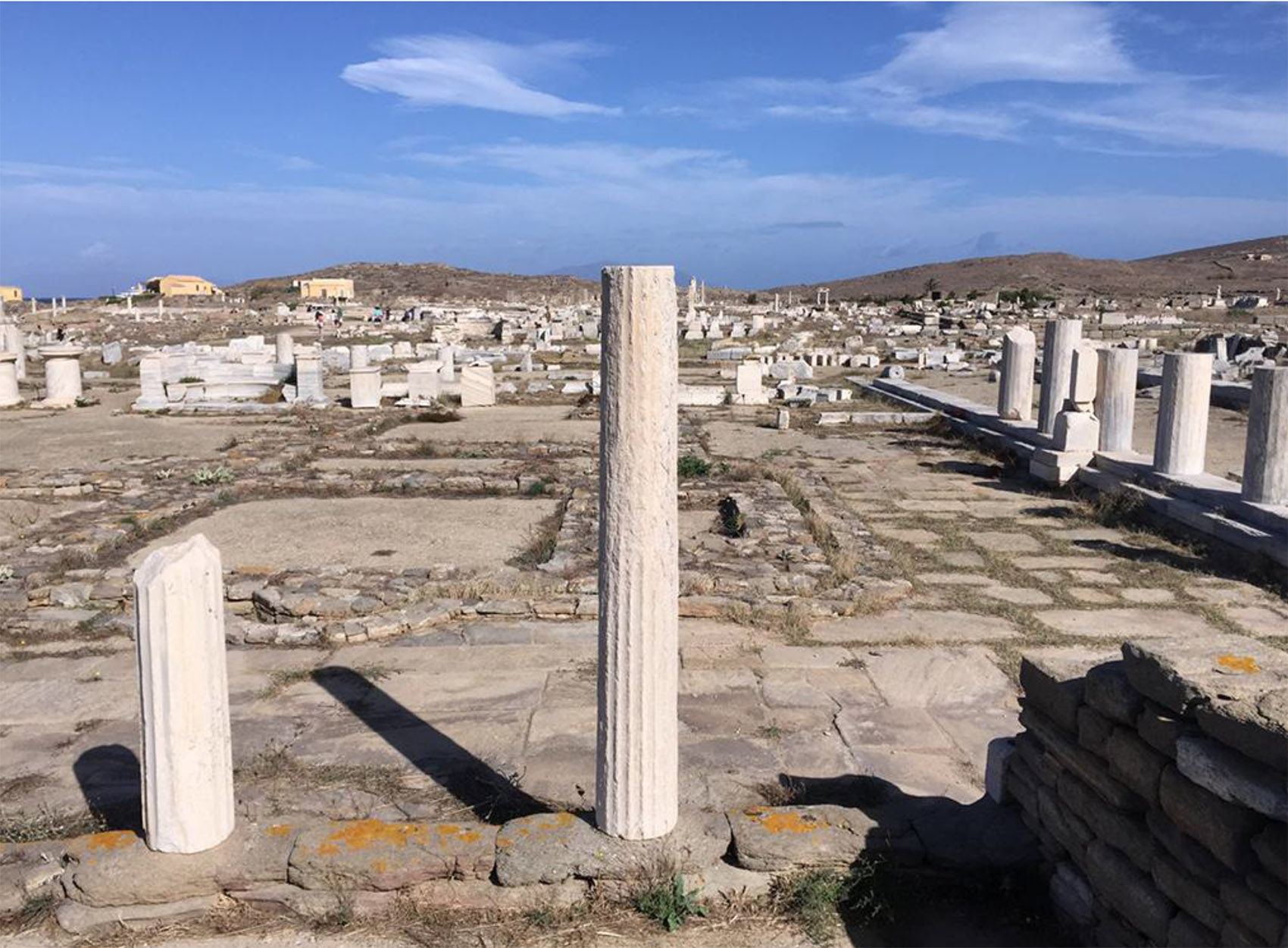 New visionary Delos Museum architecture concept self driven proposal by ...