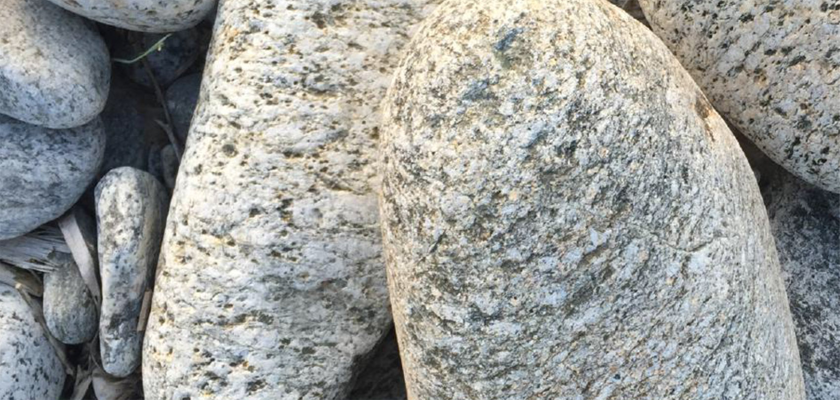 New visionary Delos Museum architecture concept self driven proposal by ...