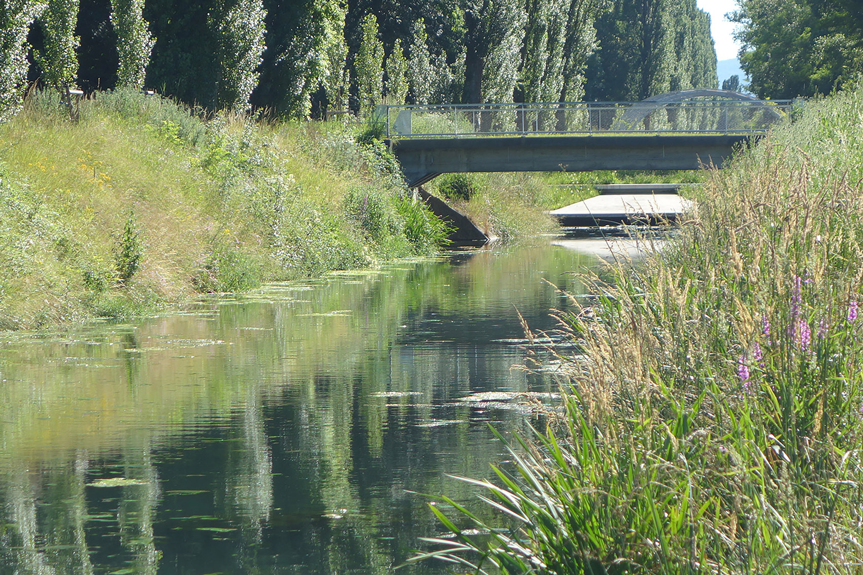 Revitalization of the river Aire, Geneva, Switzerland / Group ...