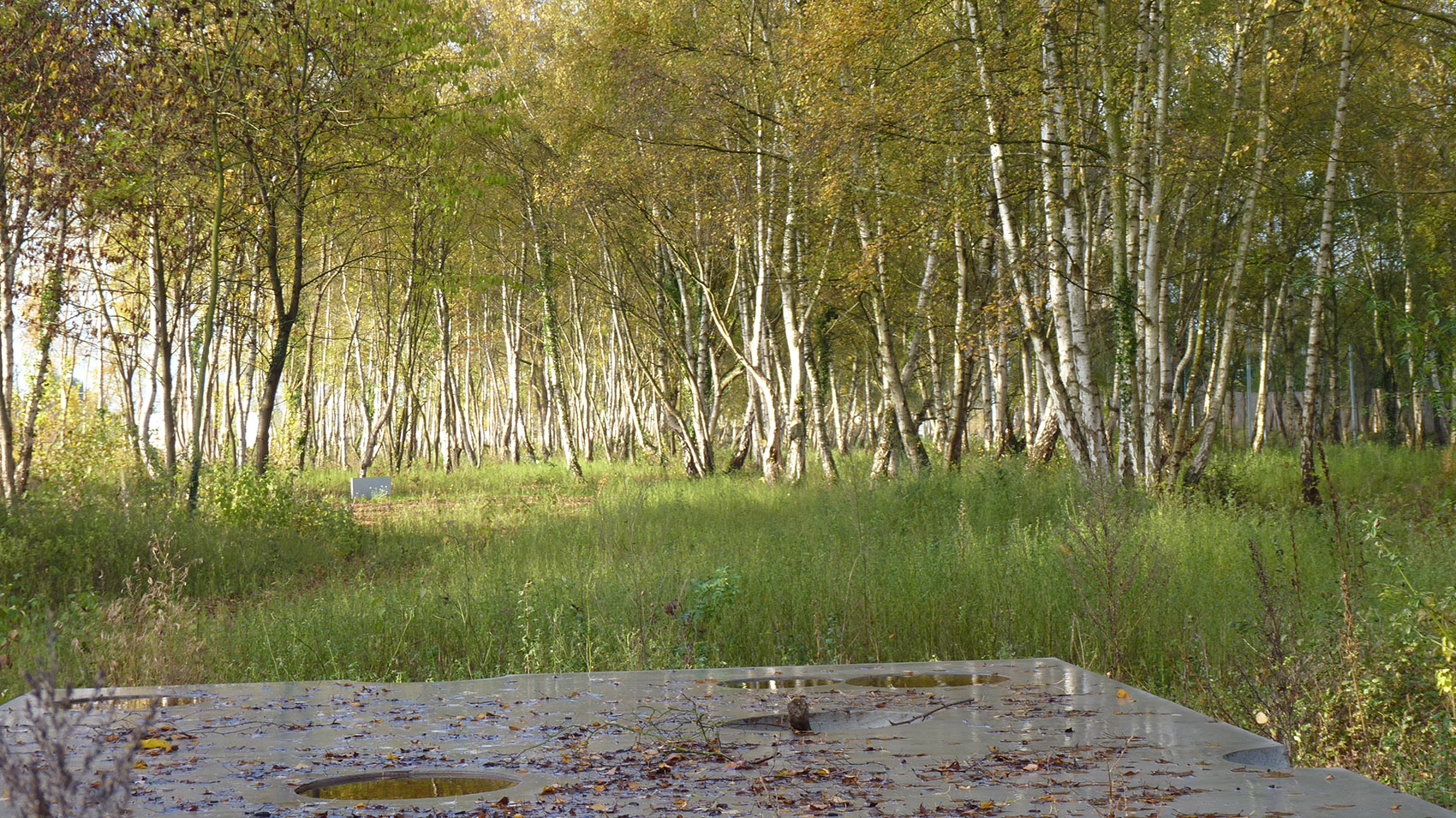 The Louvre Lens museum park by Catherine Mosbach - 谷德设计网