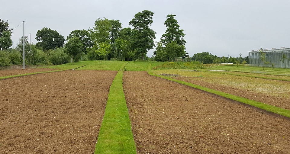The Louvre Lens museum park by Catherine Mosbach - 谷德设计网