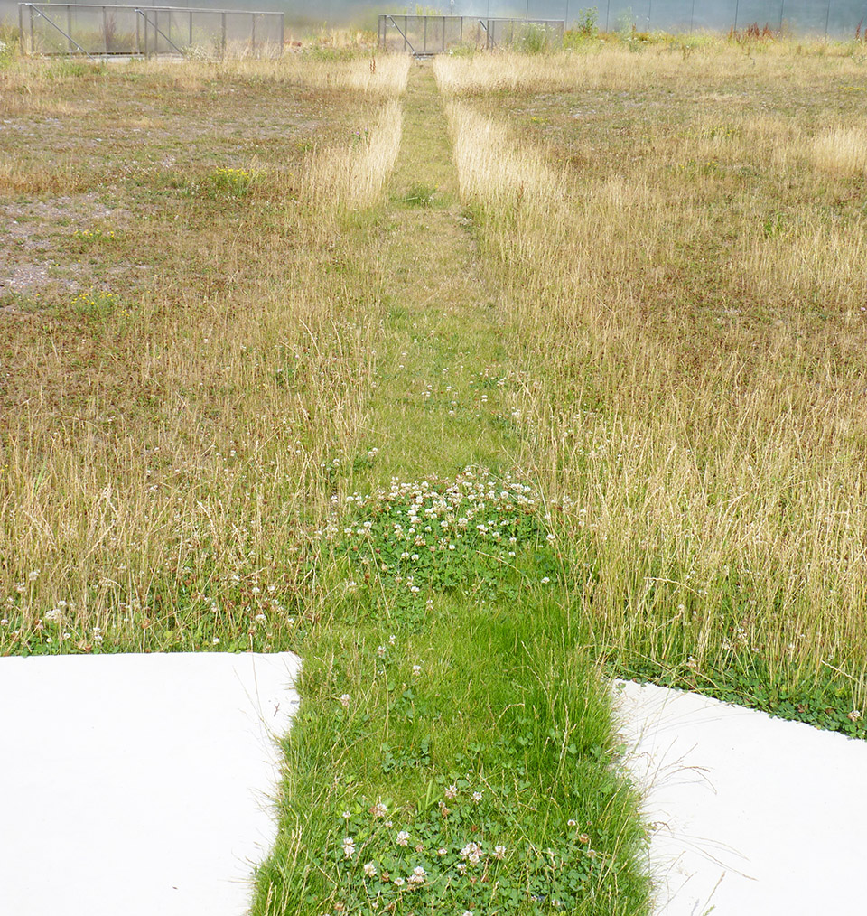 The Louvre Lens museum park by Catherine Mosbach - 谷德设计网