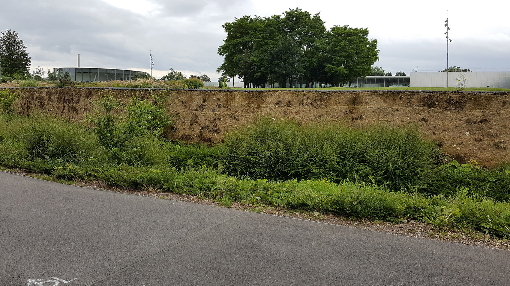 The Louvre Lens museum park by Catherine Mosbach - 谷德设计网
