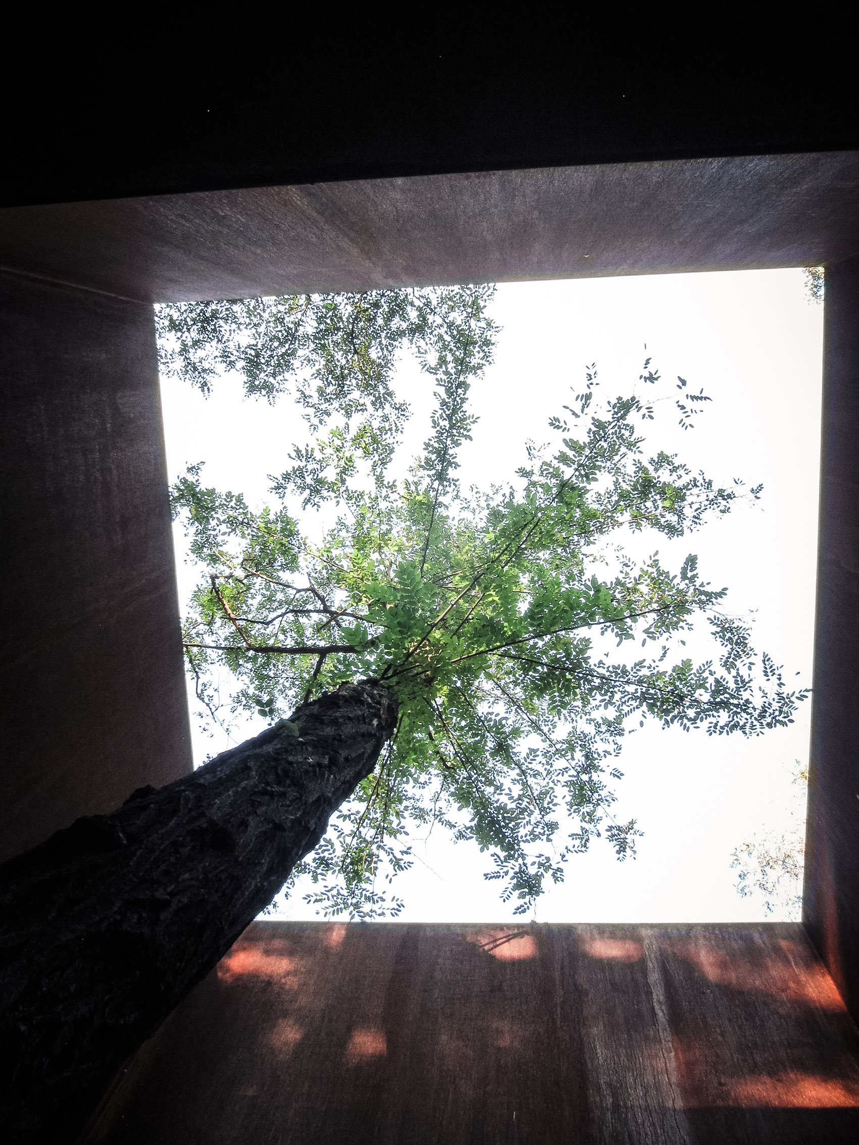 Forest Build, China by Trace Architecture Office - 谷德设计网