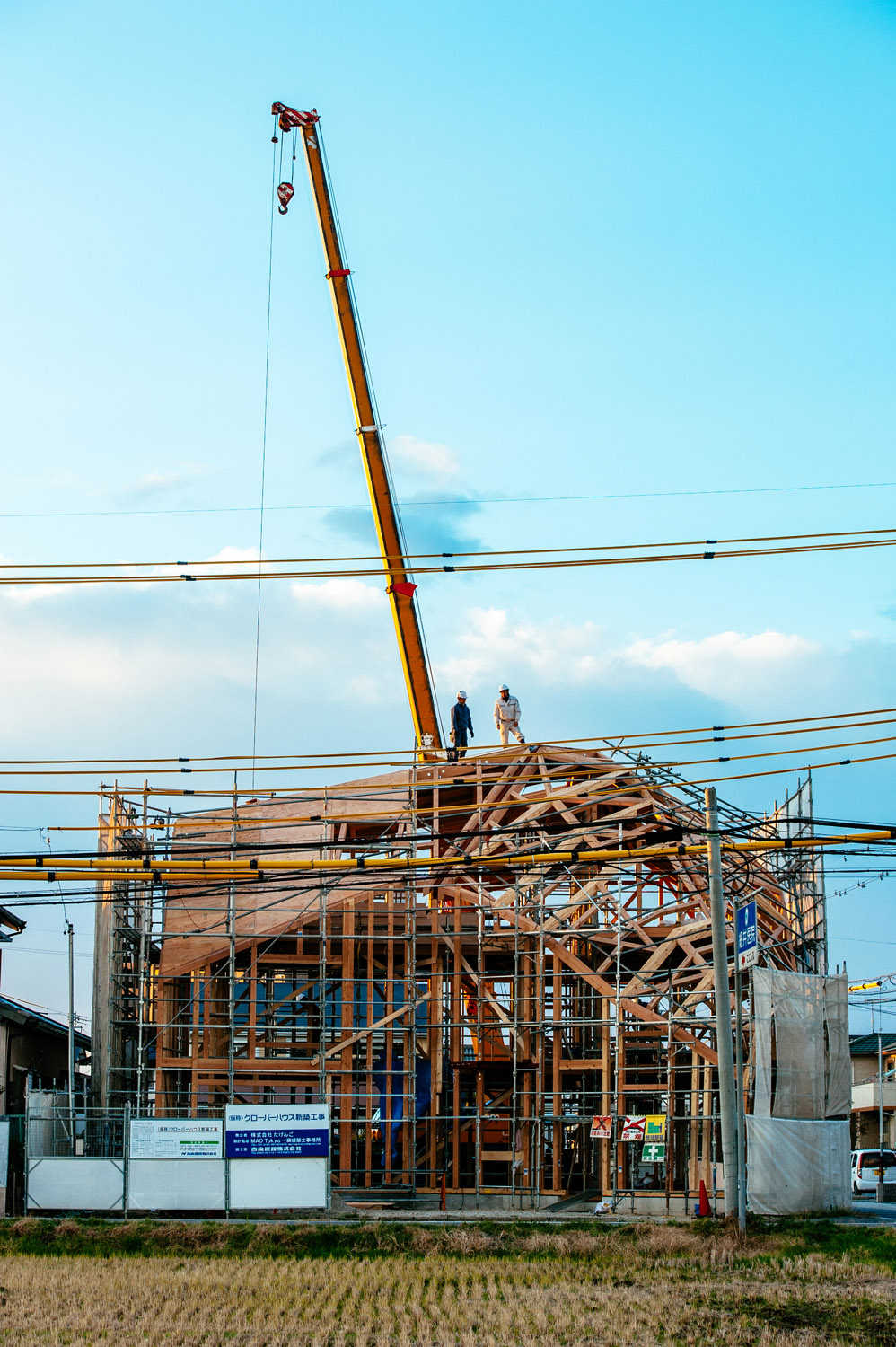 In-Depth Reporting : Clover House by MAD - 谷德设计网