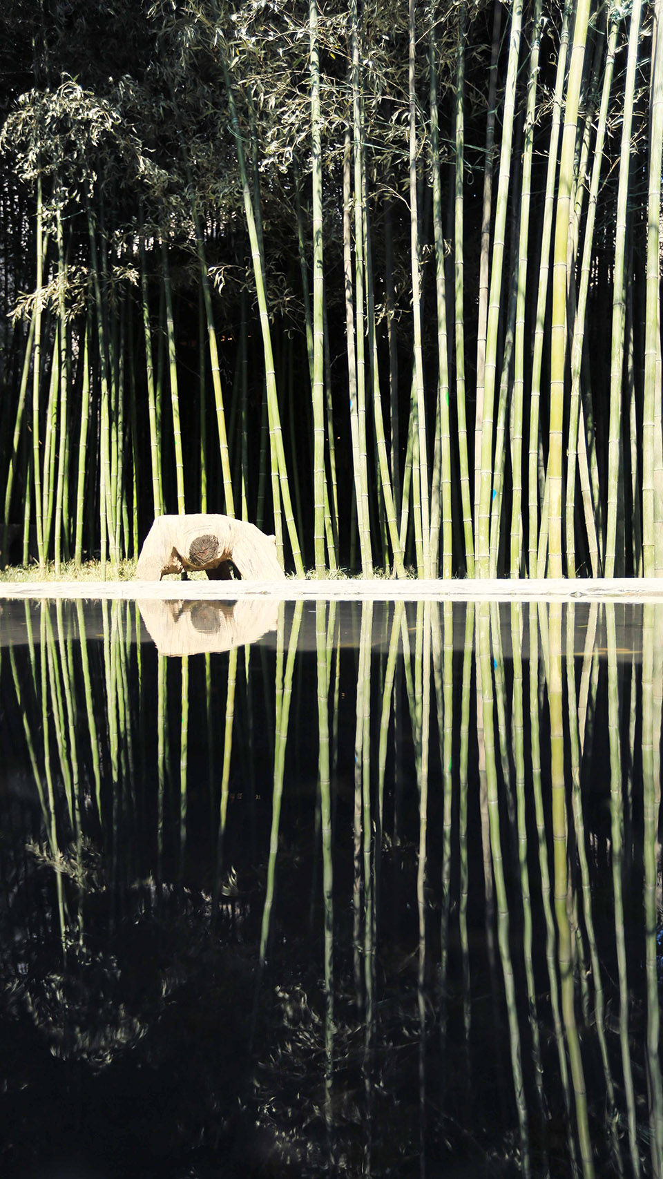 Shaanxi Thirteen Yuanjiacun Bishantang Branch Landscape Design by China ...