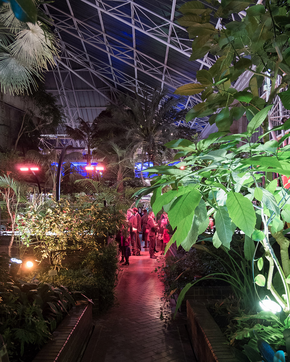 Barbican Conservatory in London by Luke Hayes - 谷德设计网