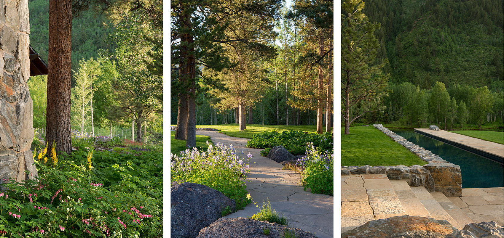 2016 ASLA RESIDENTIAL DESIGN HONOR AWARD: The Restoring of a Montane ...