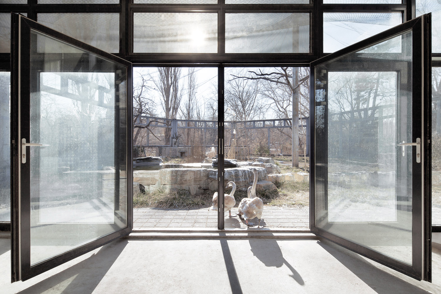 Waterfowl Pavilion of Beijing Zoo, China by SUP Atelier - 谷德设计网