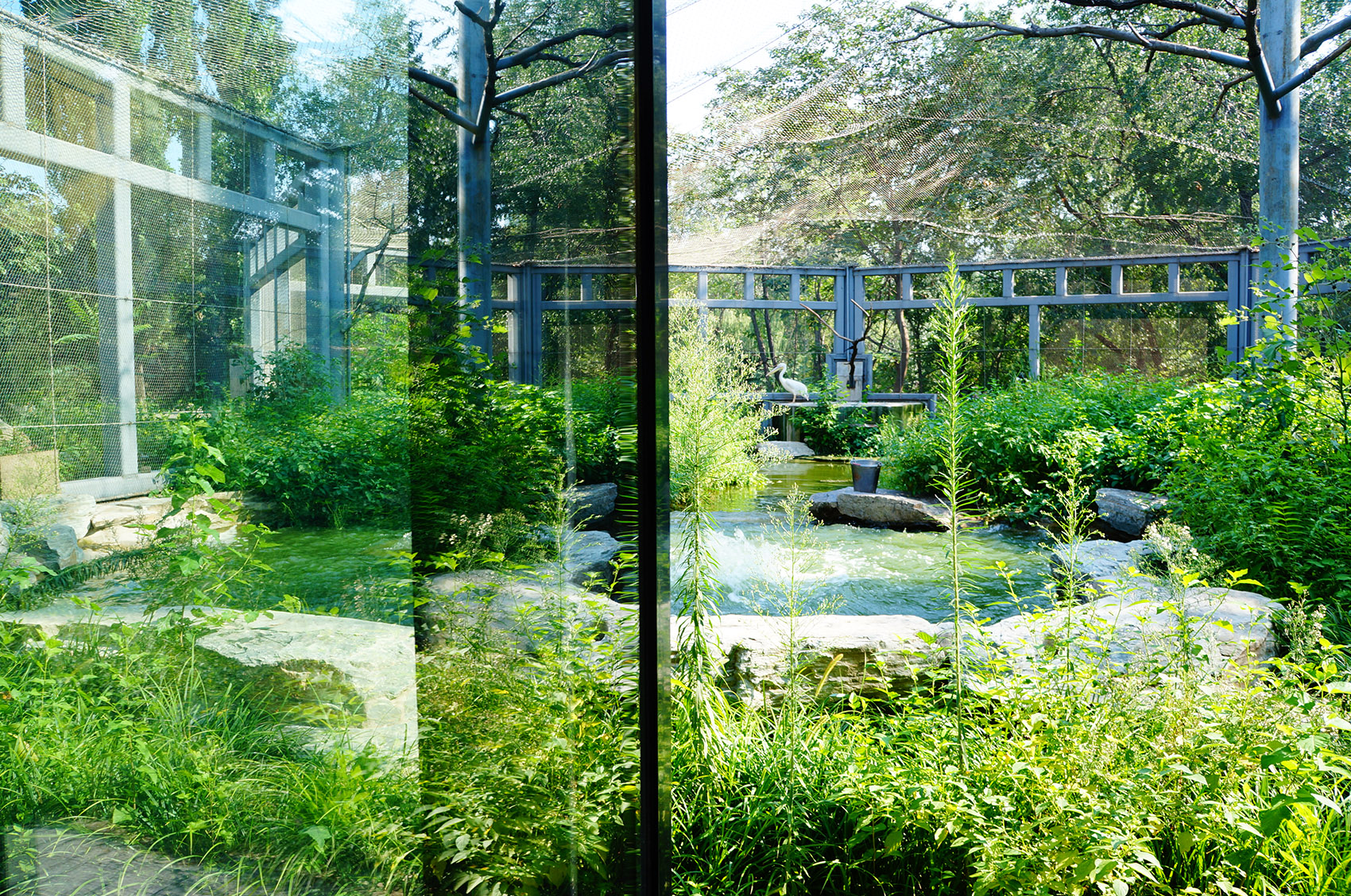 Waterfowl Pavilion of Beijing Zoo, China by SUP Atelier - 谷德设计网