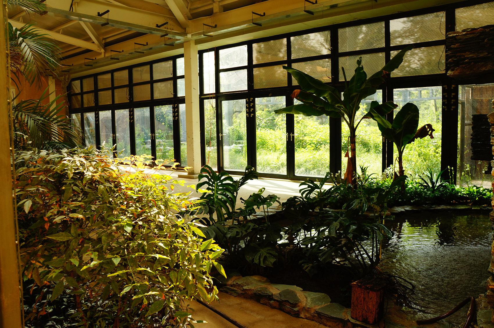 Waterfowl Pavilion of Beijing Zoo, China by SUP Atelier - 谷德设计网